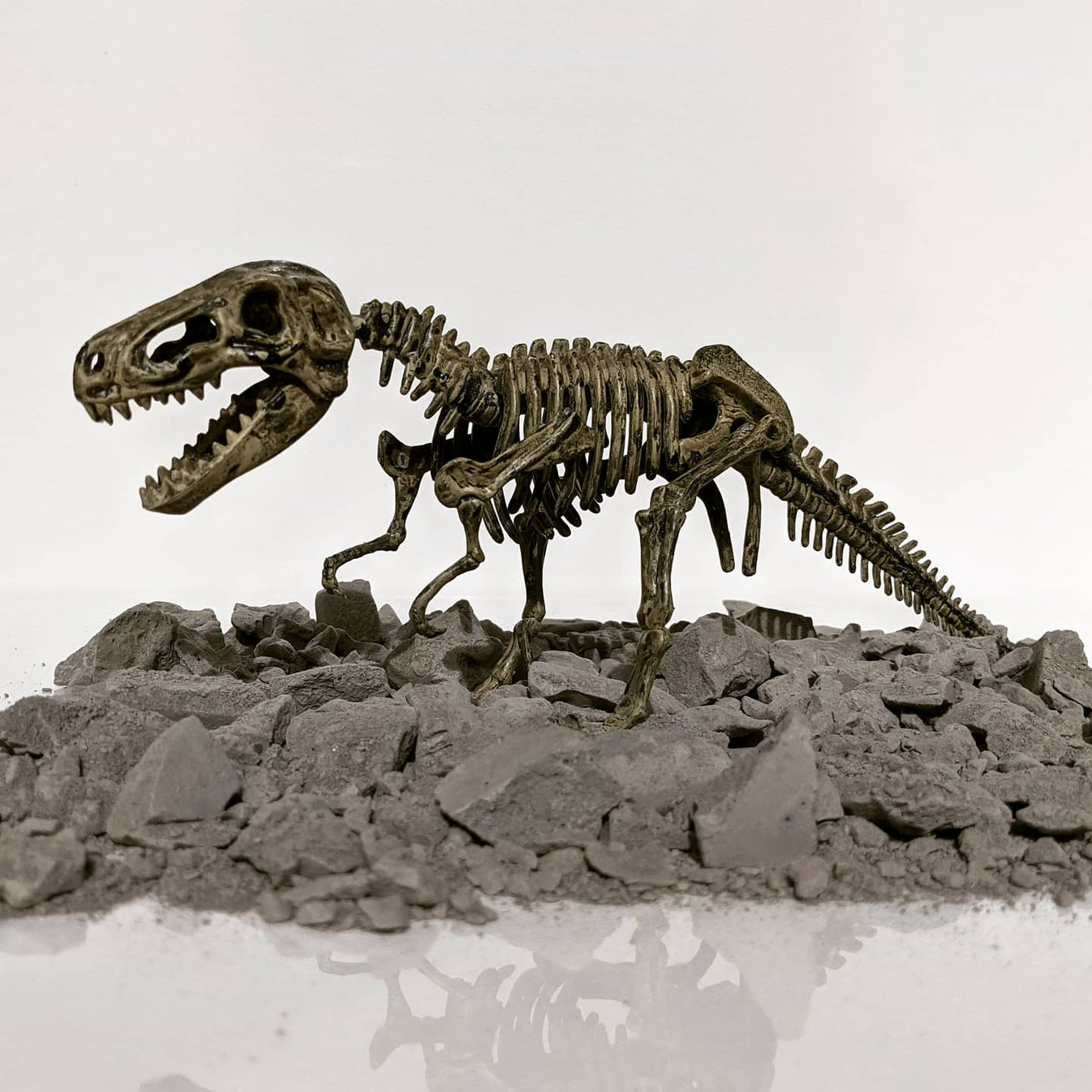 Dinosaur Fossil Excavation Kit – Old Country Market