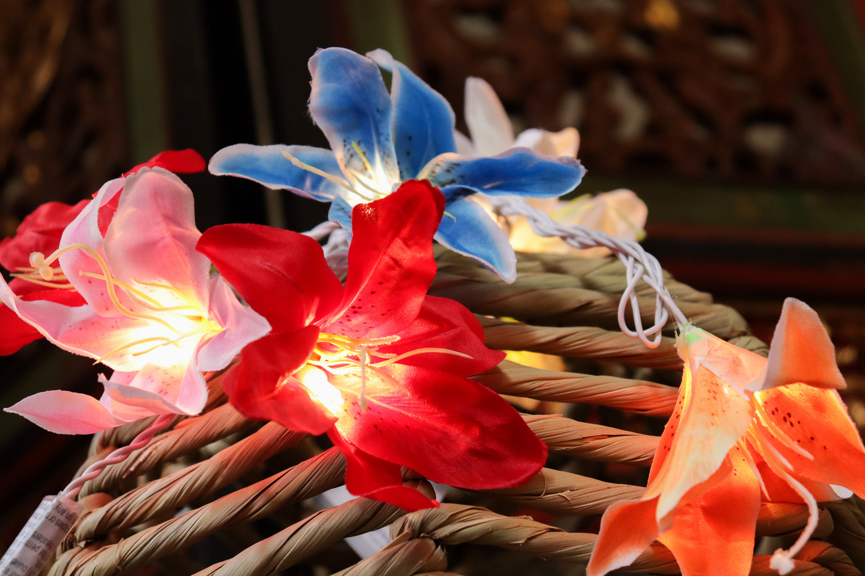 Festival String Lights (Assorted Styles) – Old Country Market